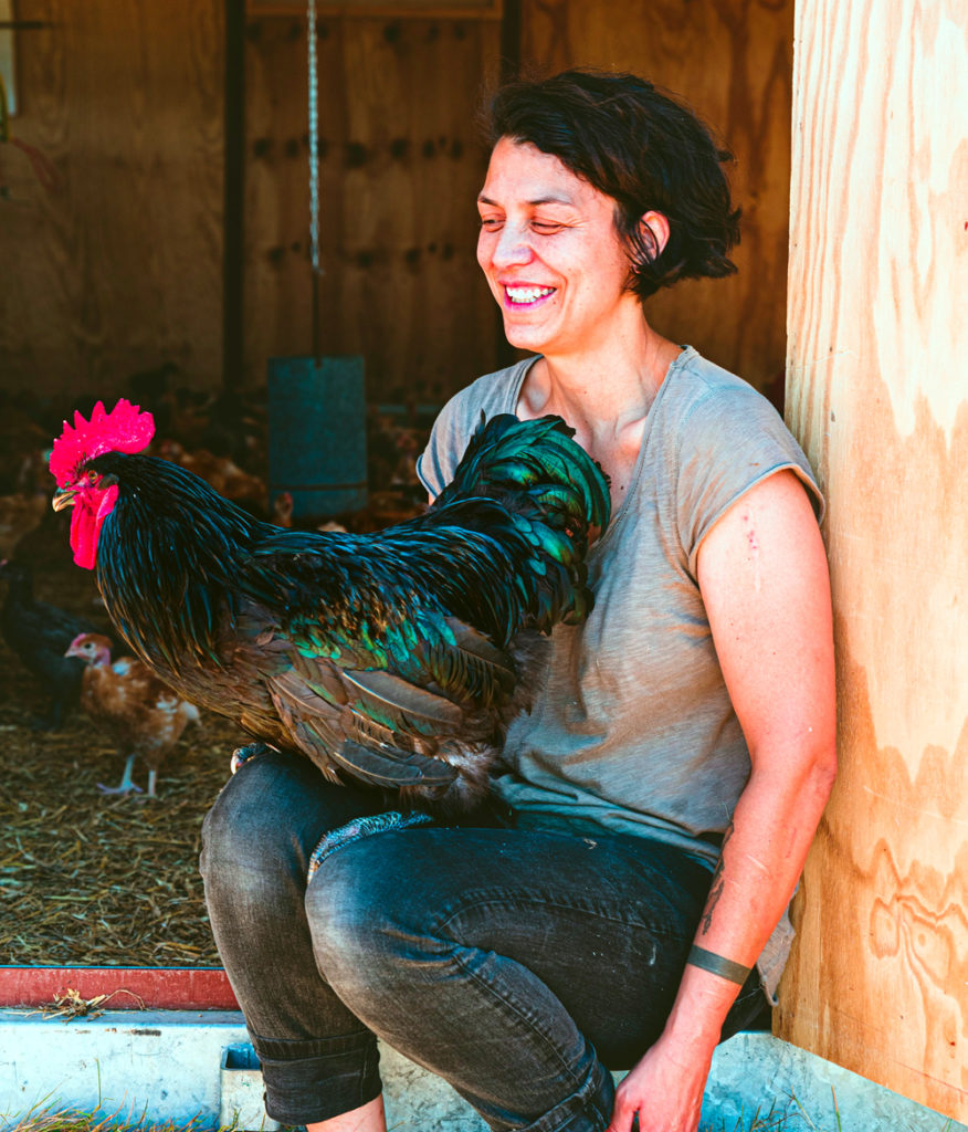 Les poulets de Farinet : Inter AMAP 44